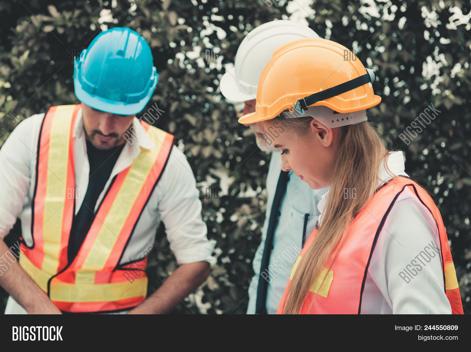 Project Management Image & Photo (Free Trial) | Bigstock