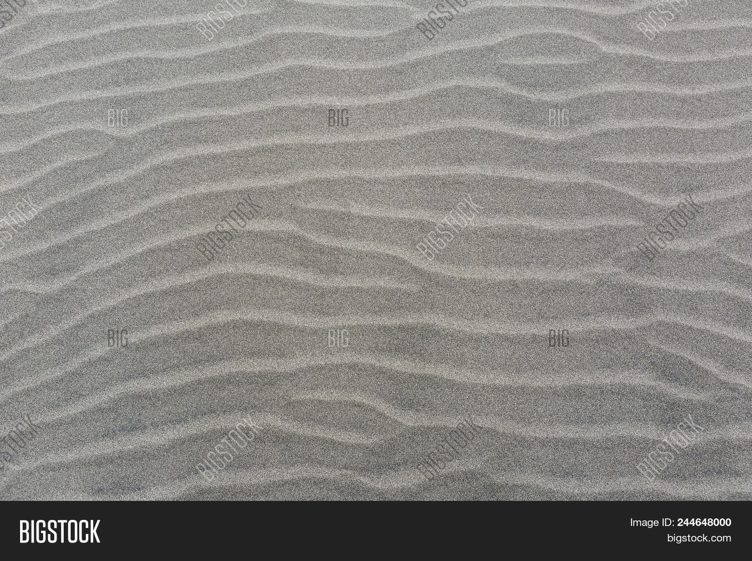 Windswept Sand Dune Image & Photo (Free Trial) | Bigstock