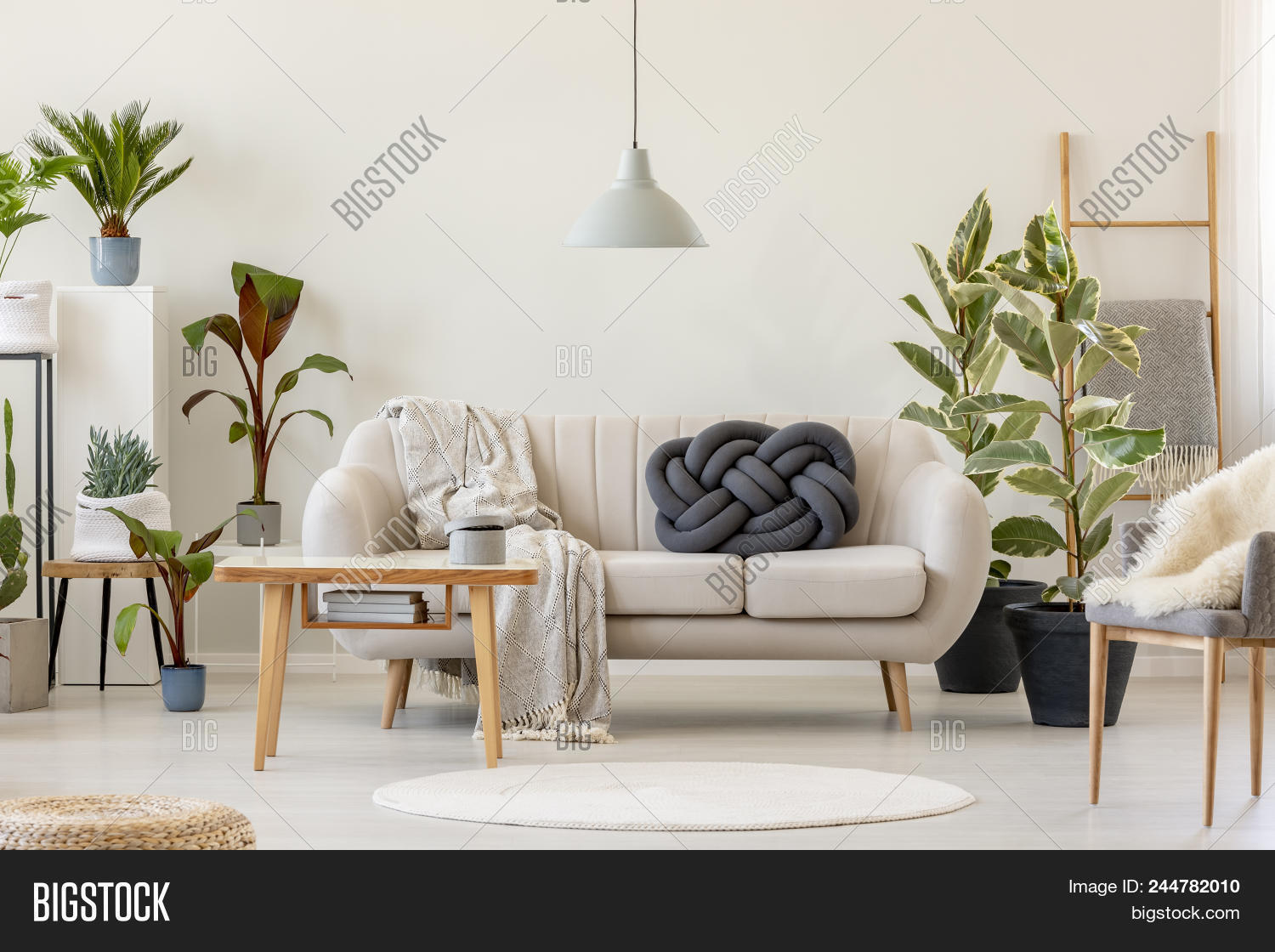 Wooden Table Front Image & Photo (Free Trial) | Bigstock