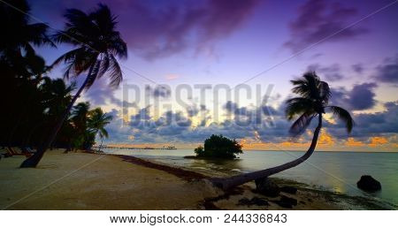 Islamorada Sunrise: Image & Photo (Free Trial) | Bigstock