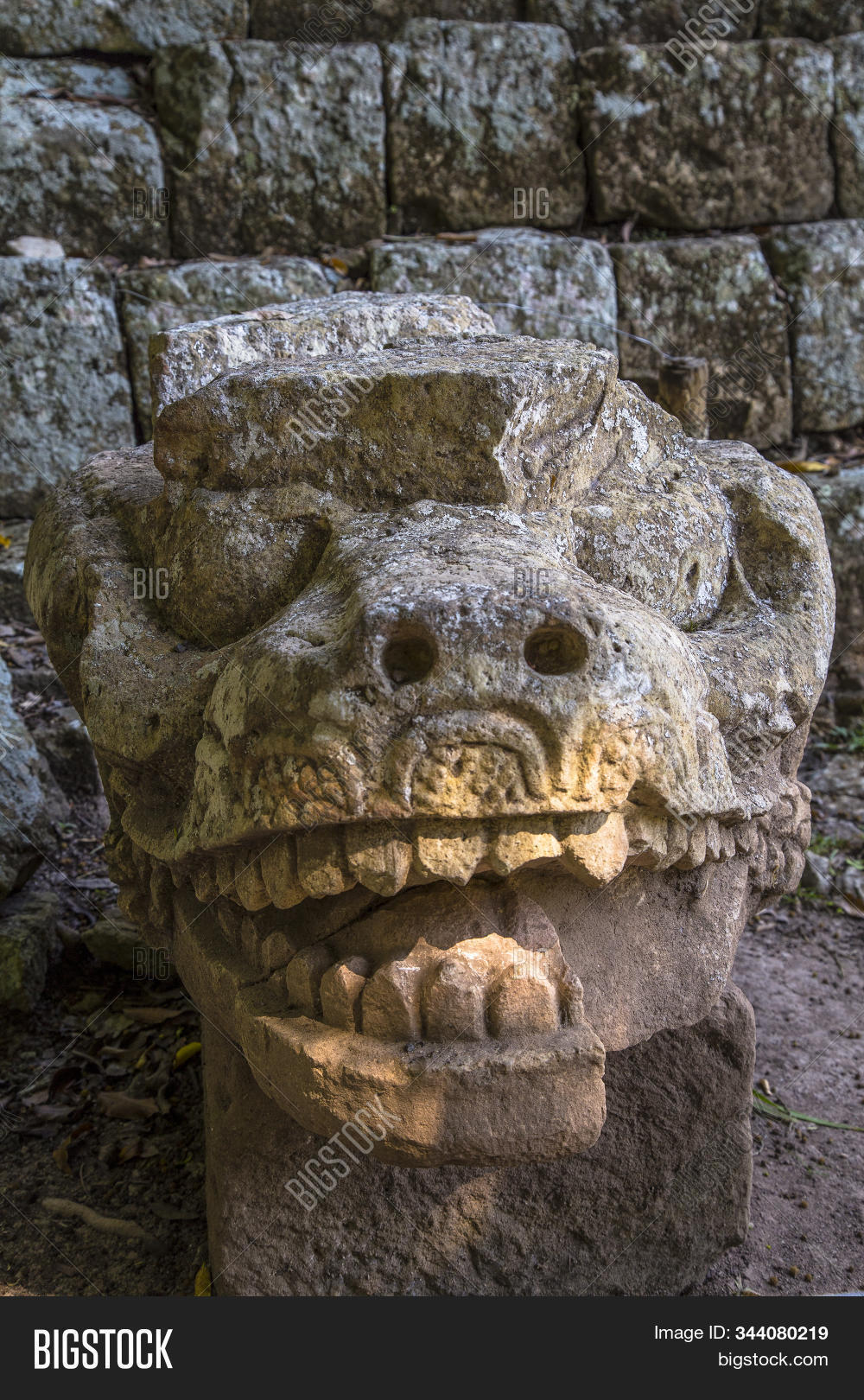 Dragon Astronomical Image & Photo (Free Trial) | Bigstock