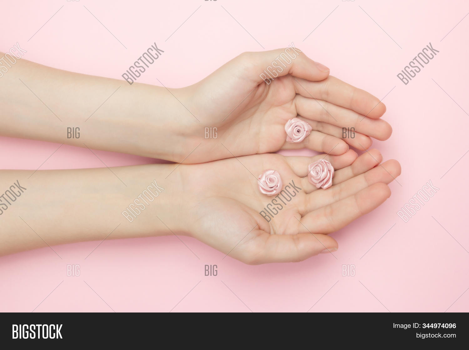 Woman Hands Hold Rose Image & Photo (Free Trial) | Bigstock