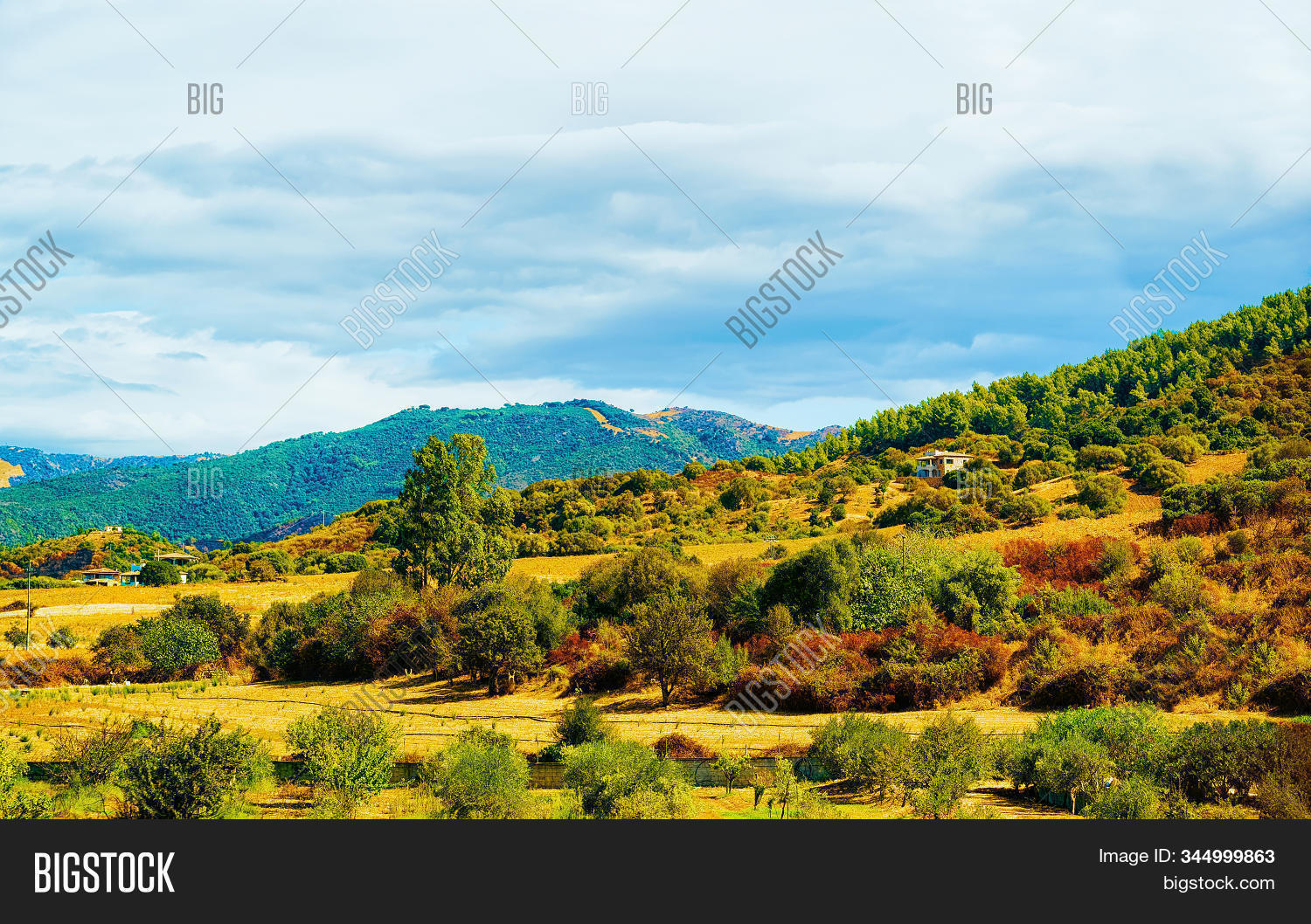 Landscape Palau Image & Photo (Free Trial) | Bigstock