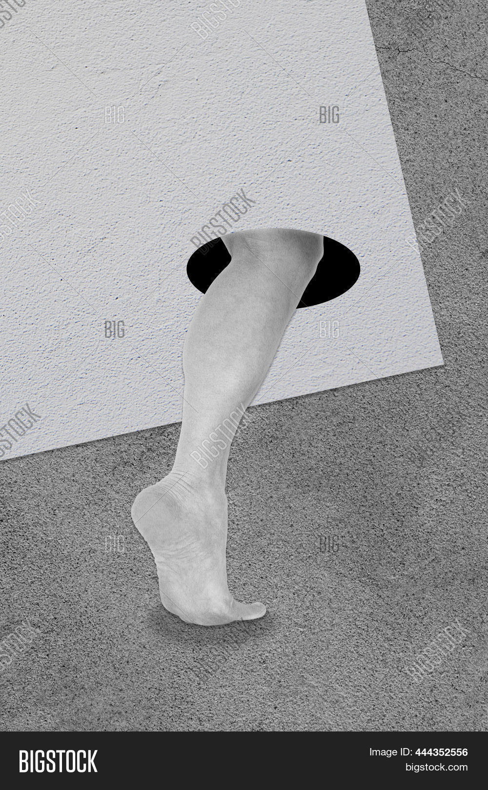 Collage Humans Leg Image & Photo (Free Trial) | Bigstock