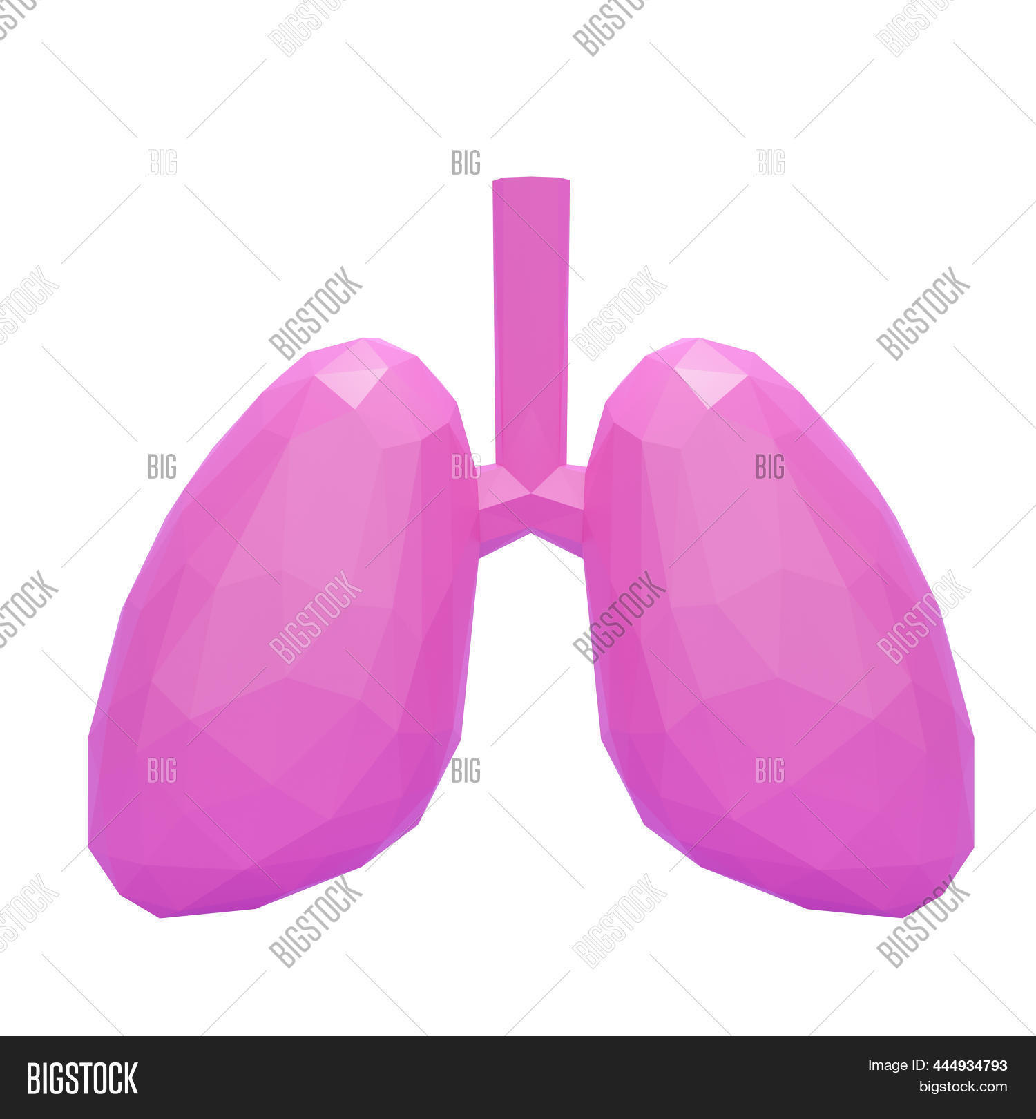 Pink Low Poly Organ Image & Photo (Free Trial) | Bigstock