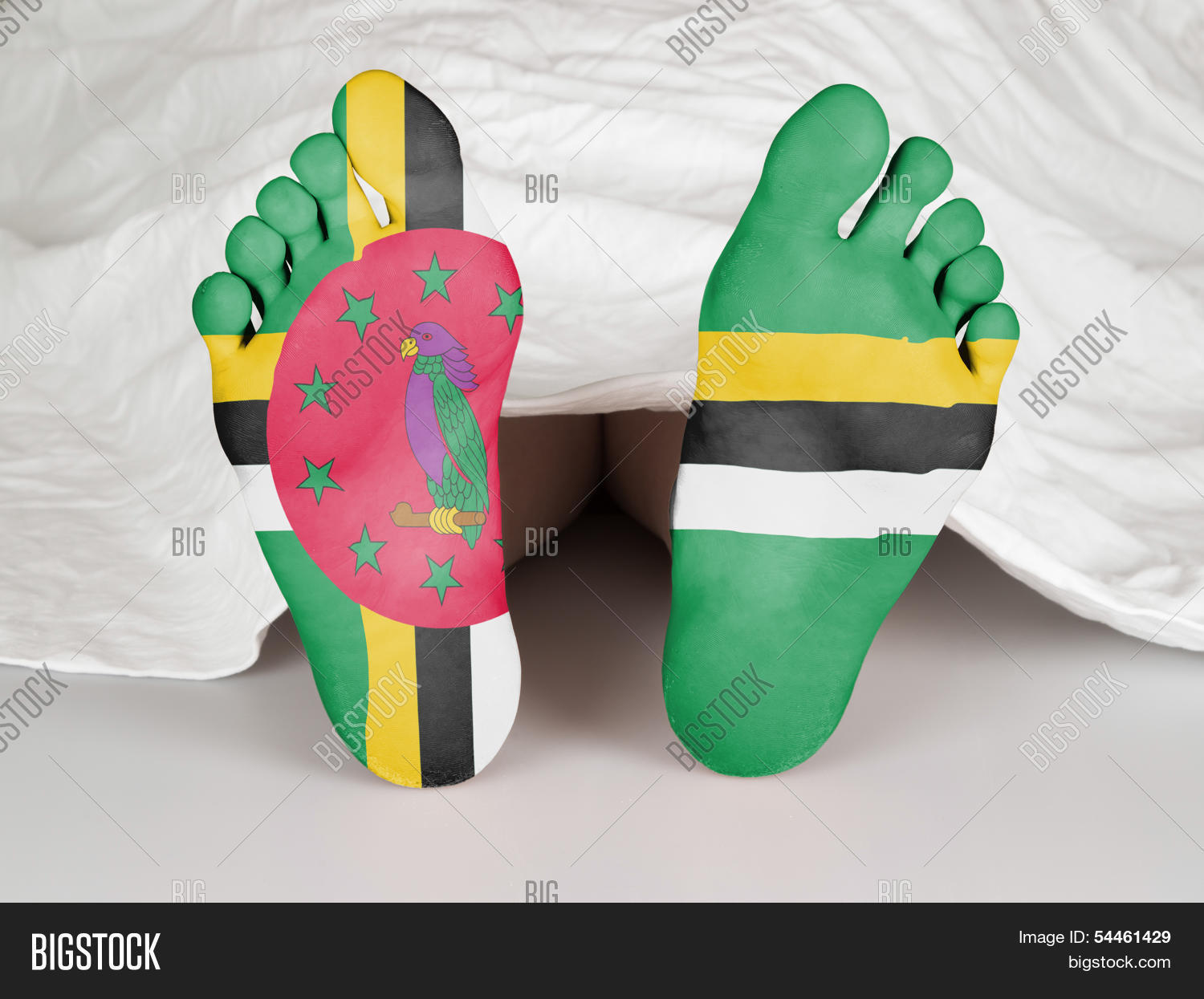 Feet Flag Image & Photo (Free Trial) | Bigstock