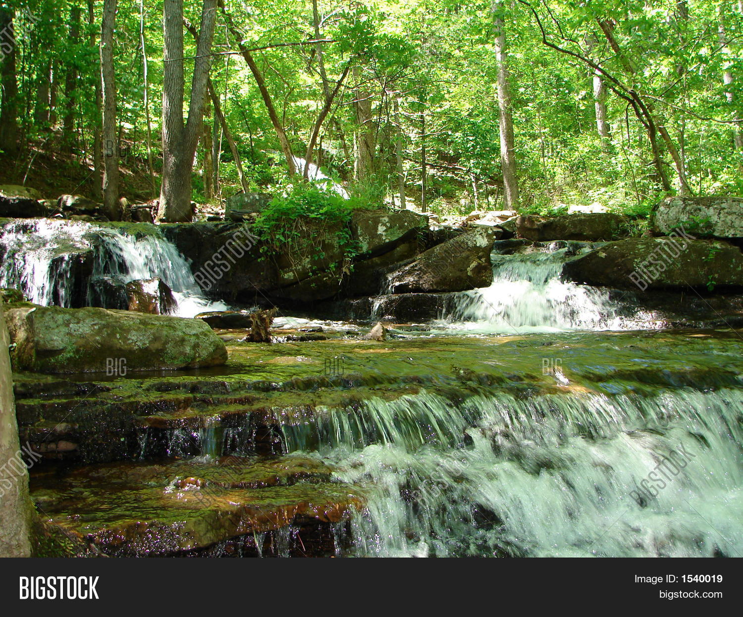 Collins Creek Water Image & Photo (Free Trial) | Bigstock