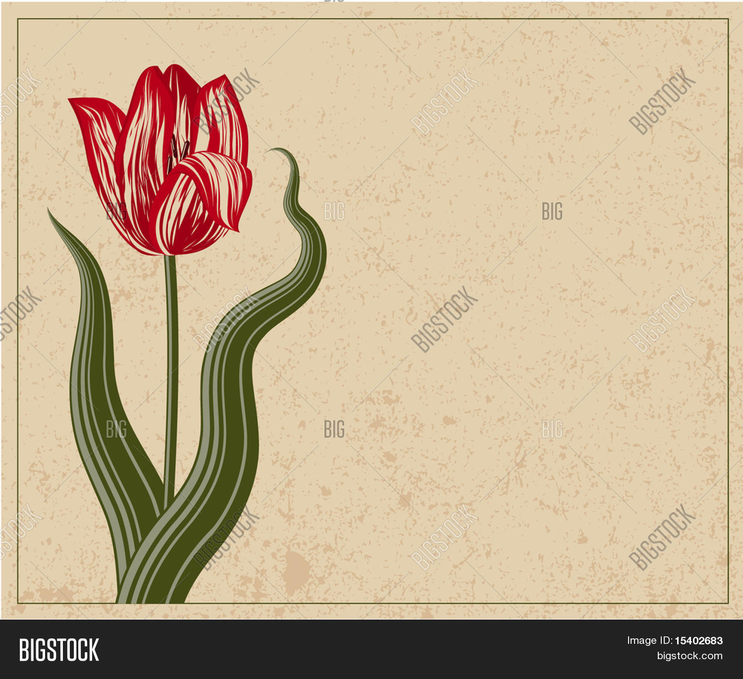 Tulip. Vector Vintage Vector & Photo (Free Trial) | Bigstock