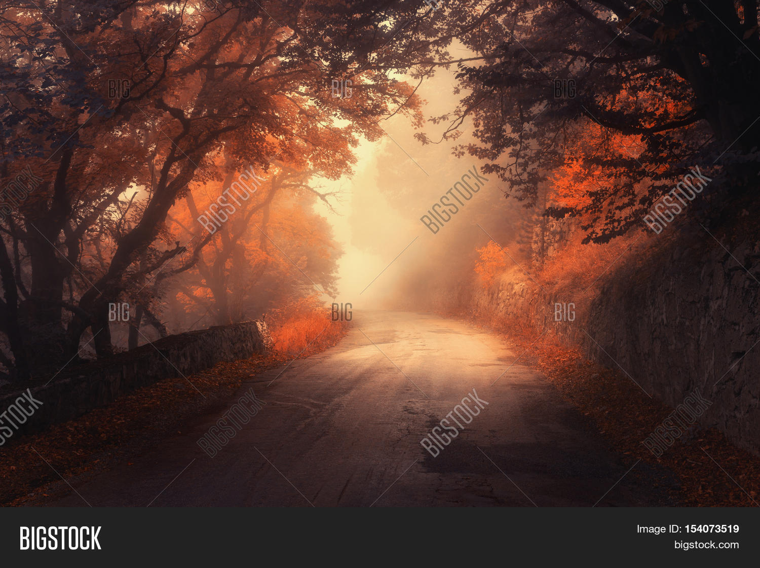 Mystical Autumn Red Image & Photo (Free Trial) | Bigstock