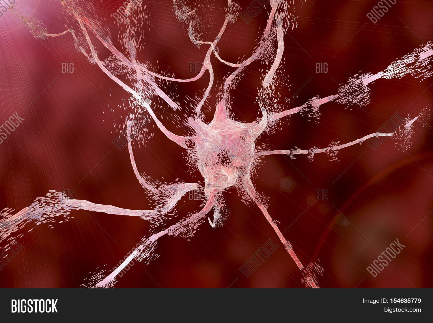 Apoptosis Neuron Which Image & Photo (Free Trial) | Bigstock
