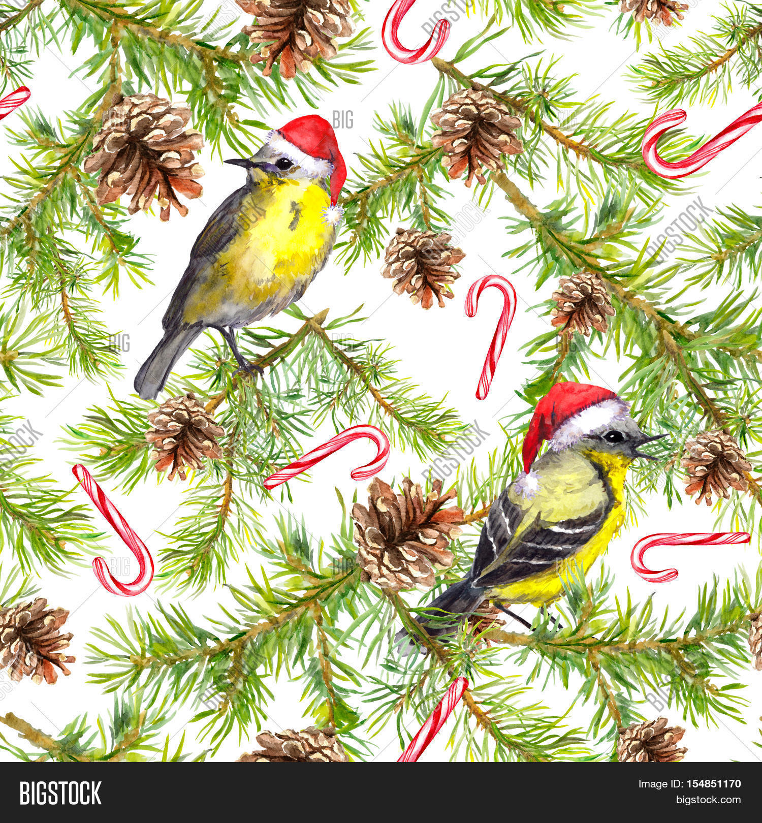 Birds Santa Hats, Image & Photo (Free Trial) | Bigstock
