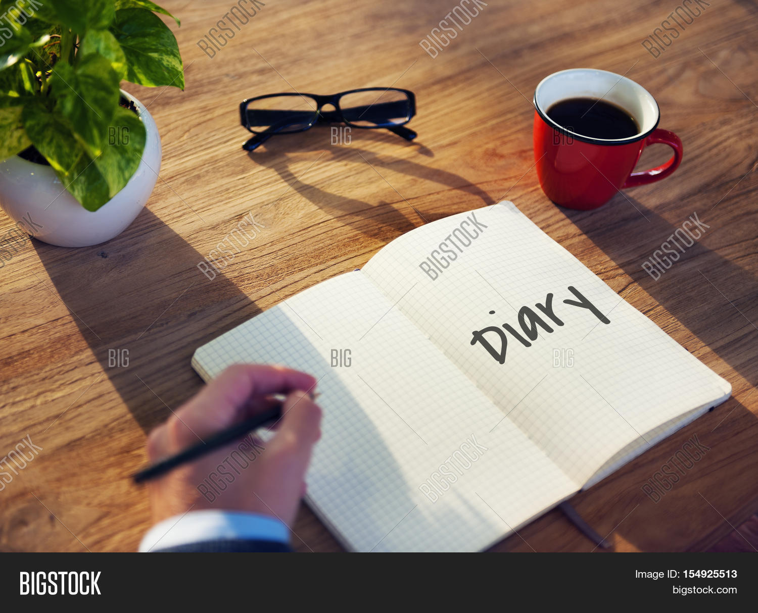 Diary Daily Record Image & Photo (Free Trial) | Bigstock