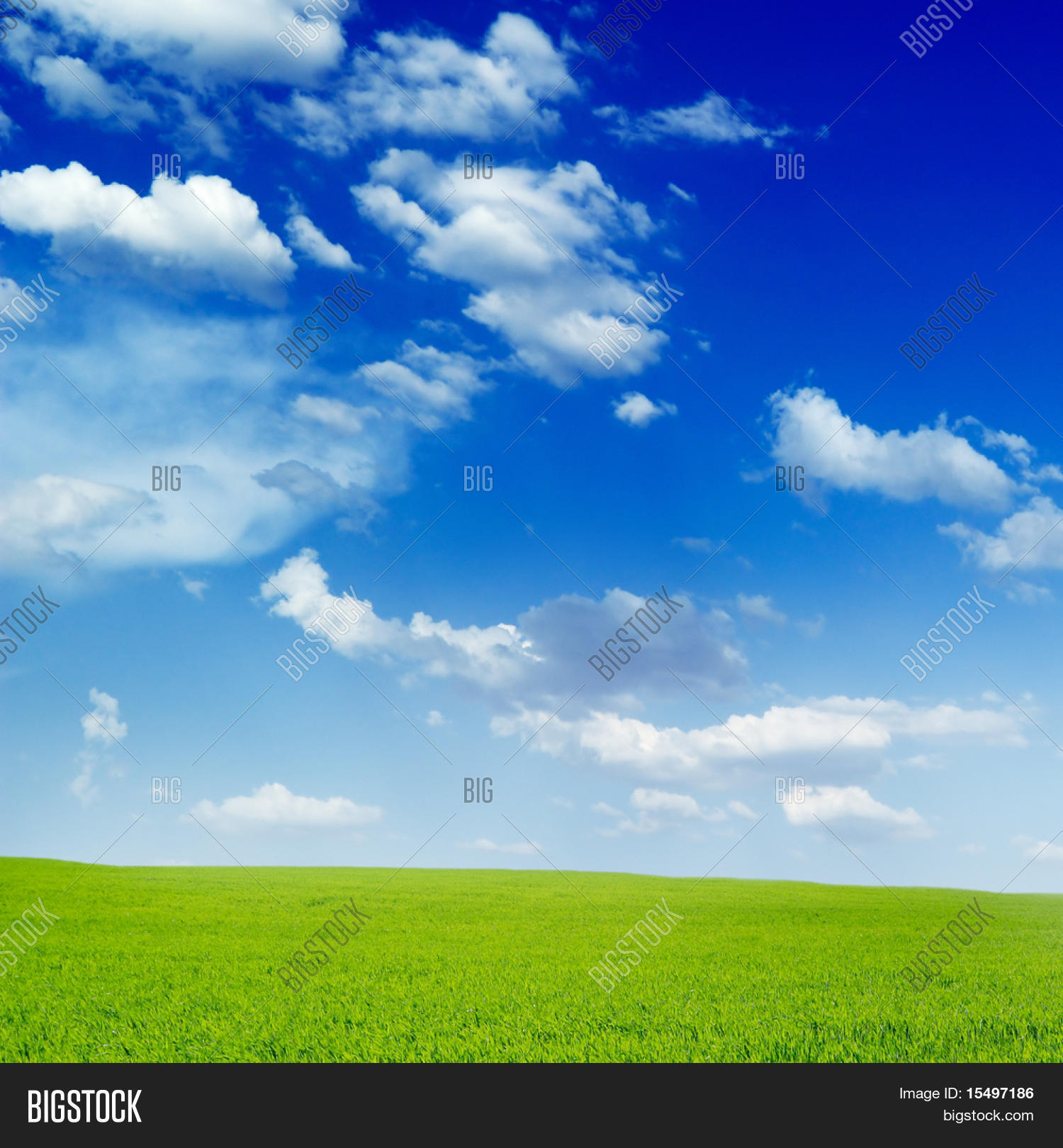Field Covered By Grass Image & Photo (Free Trial) | Bigstock
