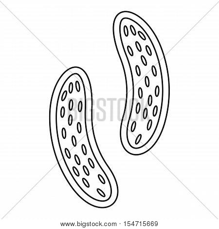 Epithelial Cell Icon Vector & Photo (Free Trial) | Bigstock