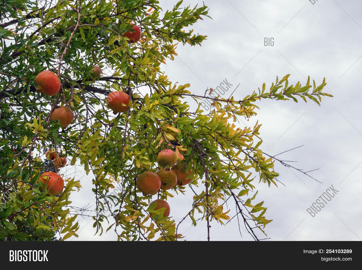 Cloudy Autumn Day. Image & Photo (Free Trial) | Bigstock