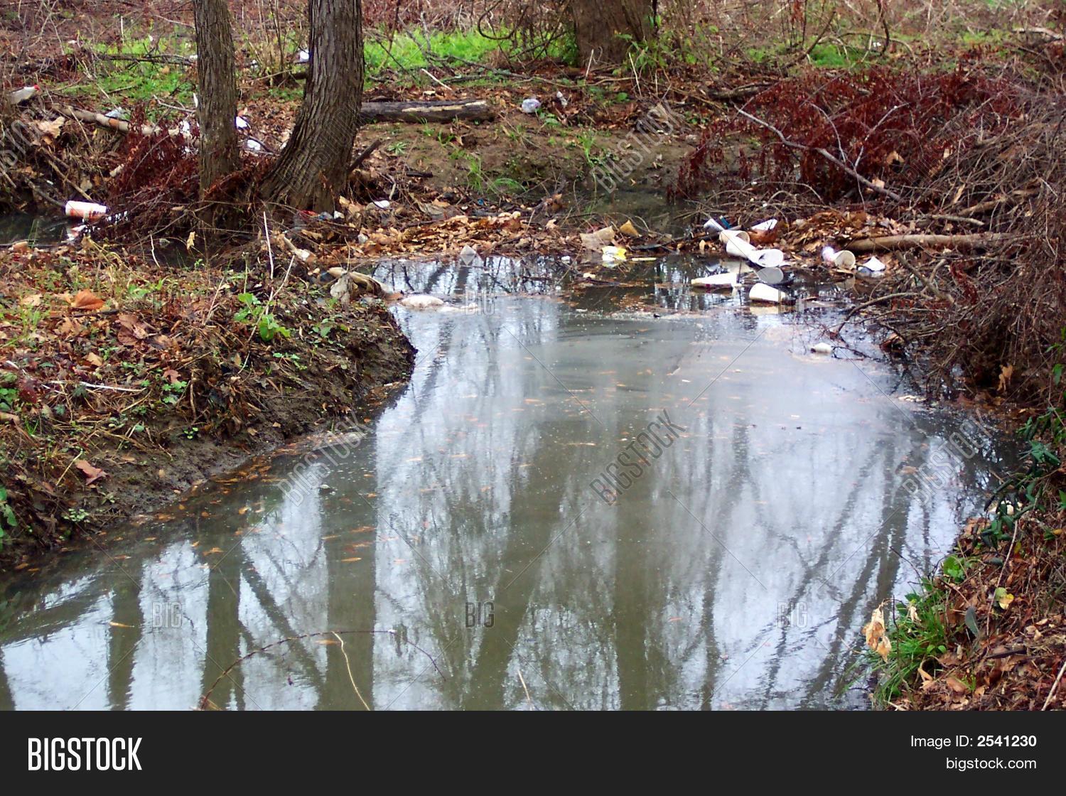 Polluted Stream Image & Photo (Free Trial) | Bigstock