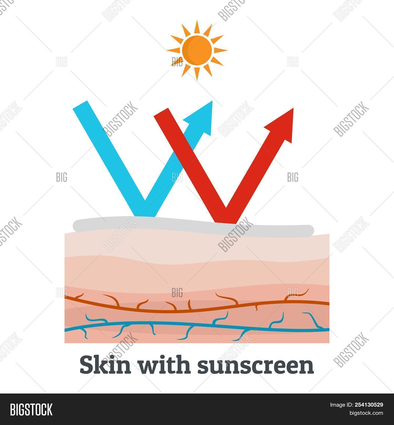 Skin Sunscreen Icon. Image & Photo (Free Trial) | Bigstock