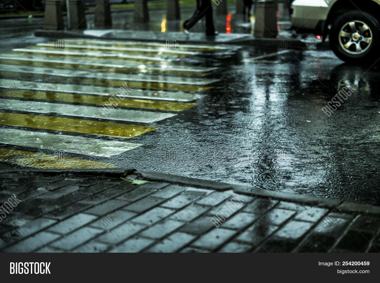 Macro Shot Wet City Image & Photo (Free Trial) | Bigstock