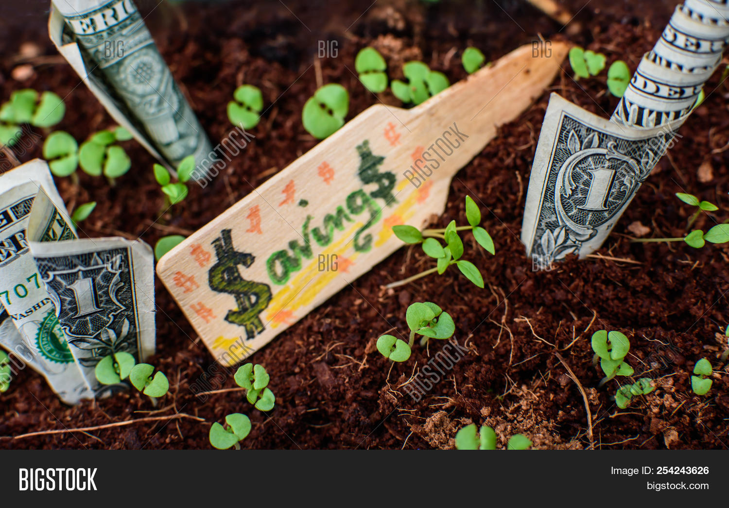 Banking Growing Money Image & Photo (Free Trial) | Bigstock