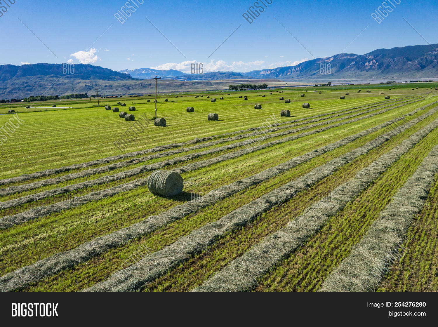 Wide View Green Farm Image & Photo (Free Trial) | Bigstock