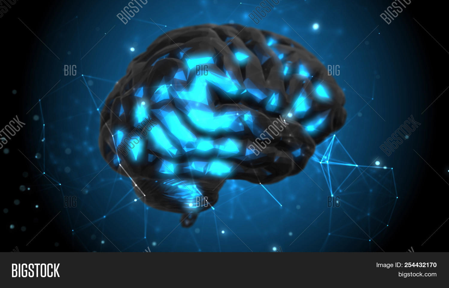 Human Brain Among Image & Photo (Free Trial) | Bigstock