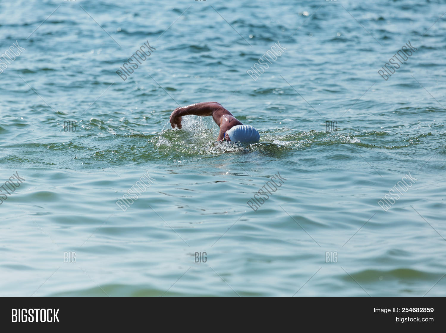 Swimmer Swims Sea. Image & Photo (Free Trial) | Bigstock