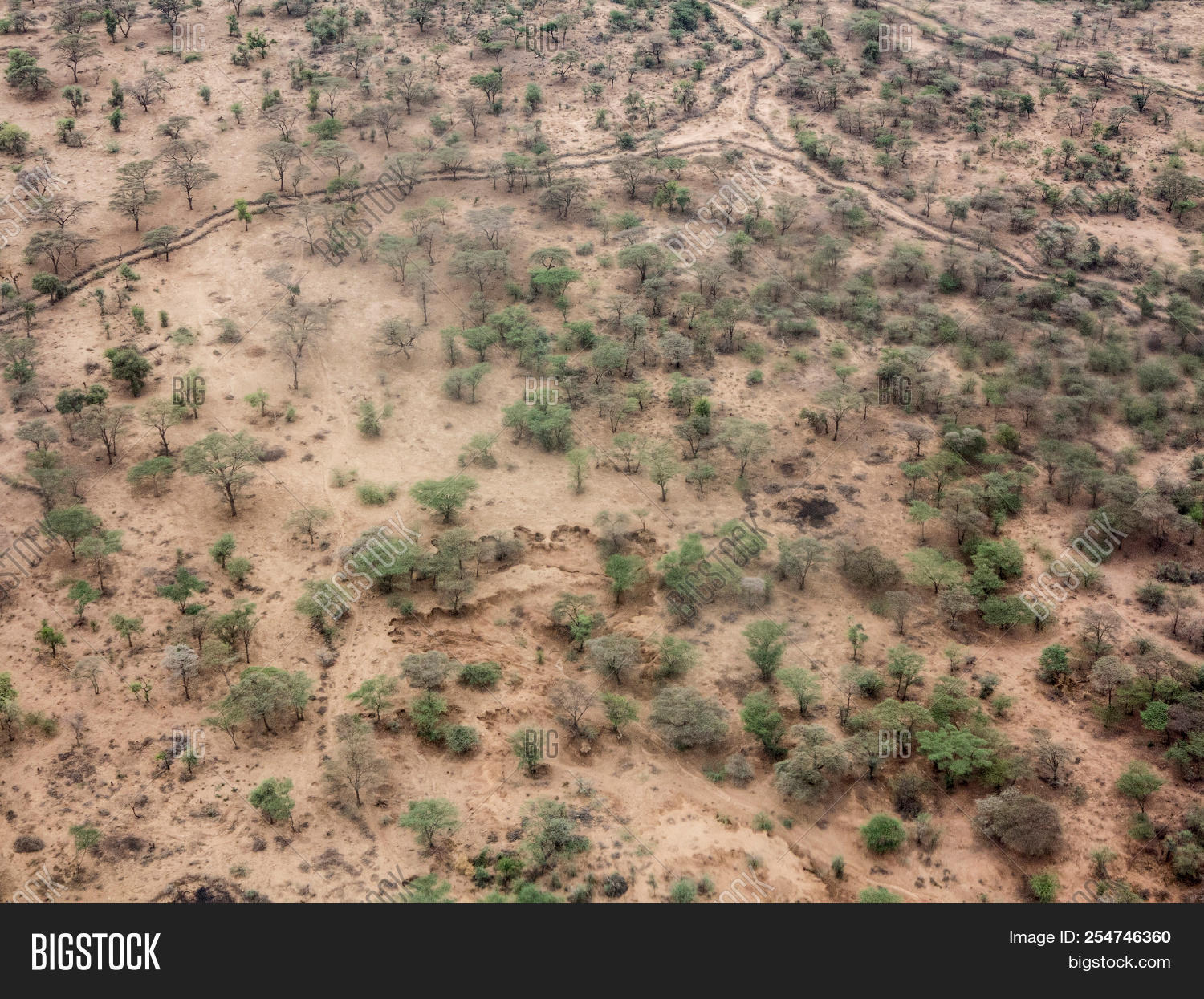 Aerial View Desert Image & Photo (Free Trial) | Bigstock
