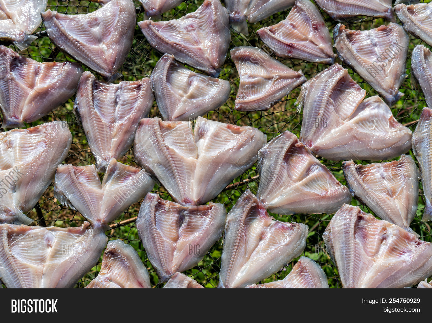 Dried Fish Basket Image & Photo (Free Trial) | Bigstock