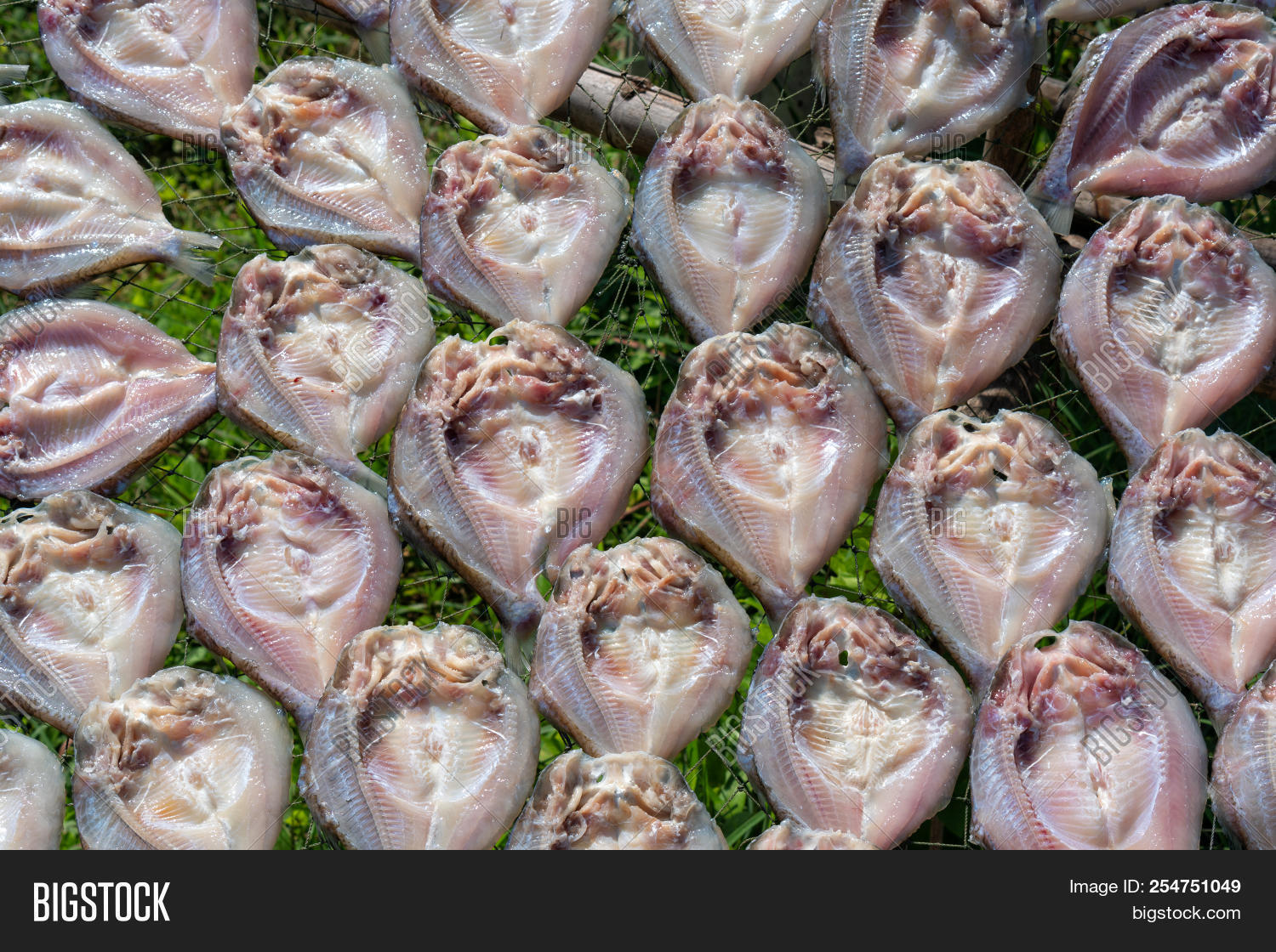 Dried Fish Basket Image & Photo (Free Trial) | Bigstock