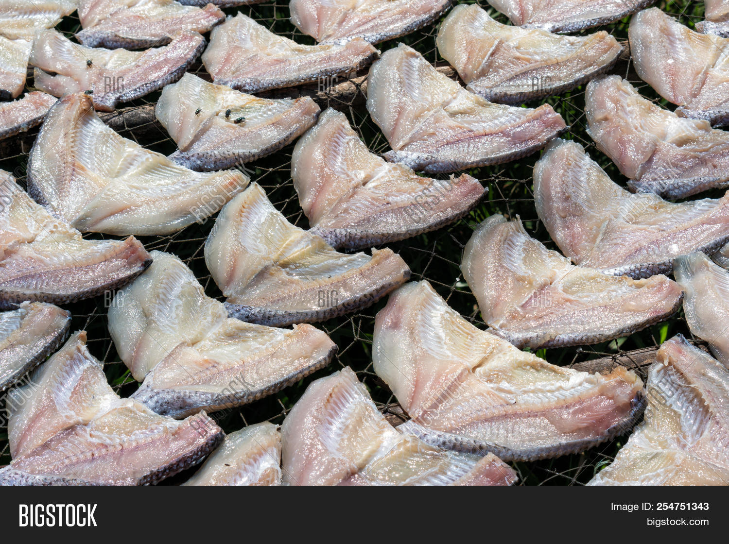 Dried Fish Basket Image & Photo (Free Trial) | Bigstock