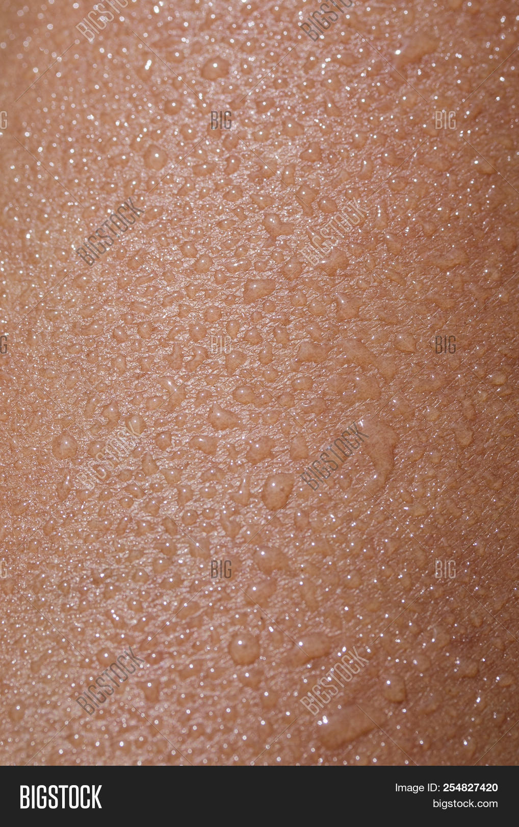 Background Tanned Image & Photo (Free Trial) | Bigstock