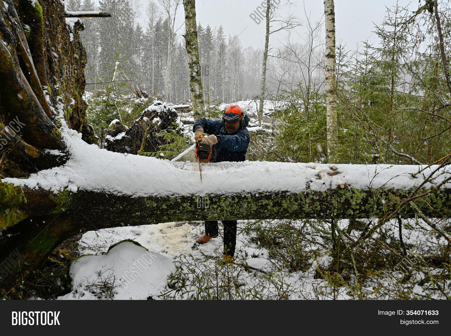 Lumberjack Working On Image & Photo (Free Trial) | Bigstock