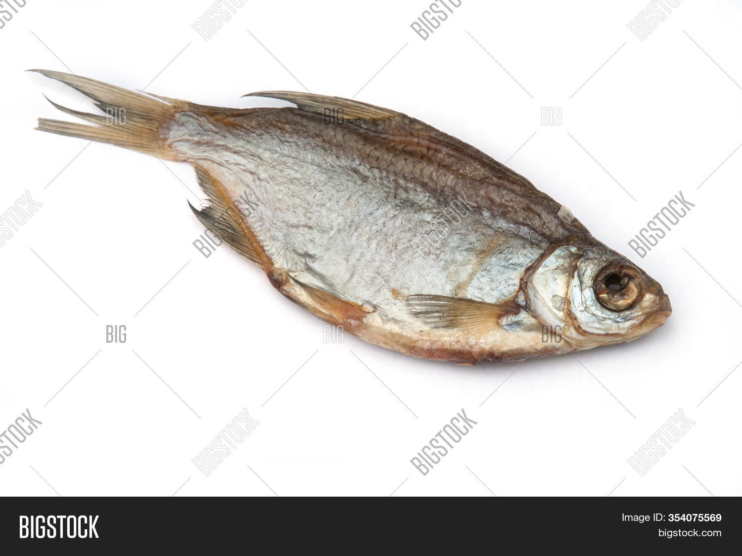 Dried Vobla On White Image & Photo (Free Trial) | Bigstock