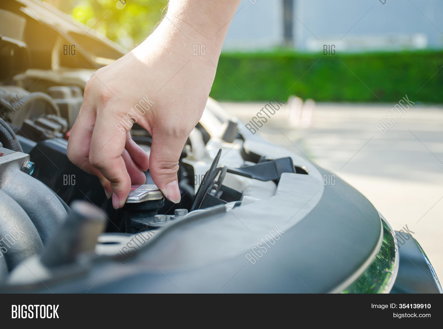 Man Hand Checking Image & Photo (Free Trial) | Bigstock