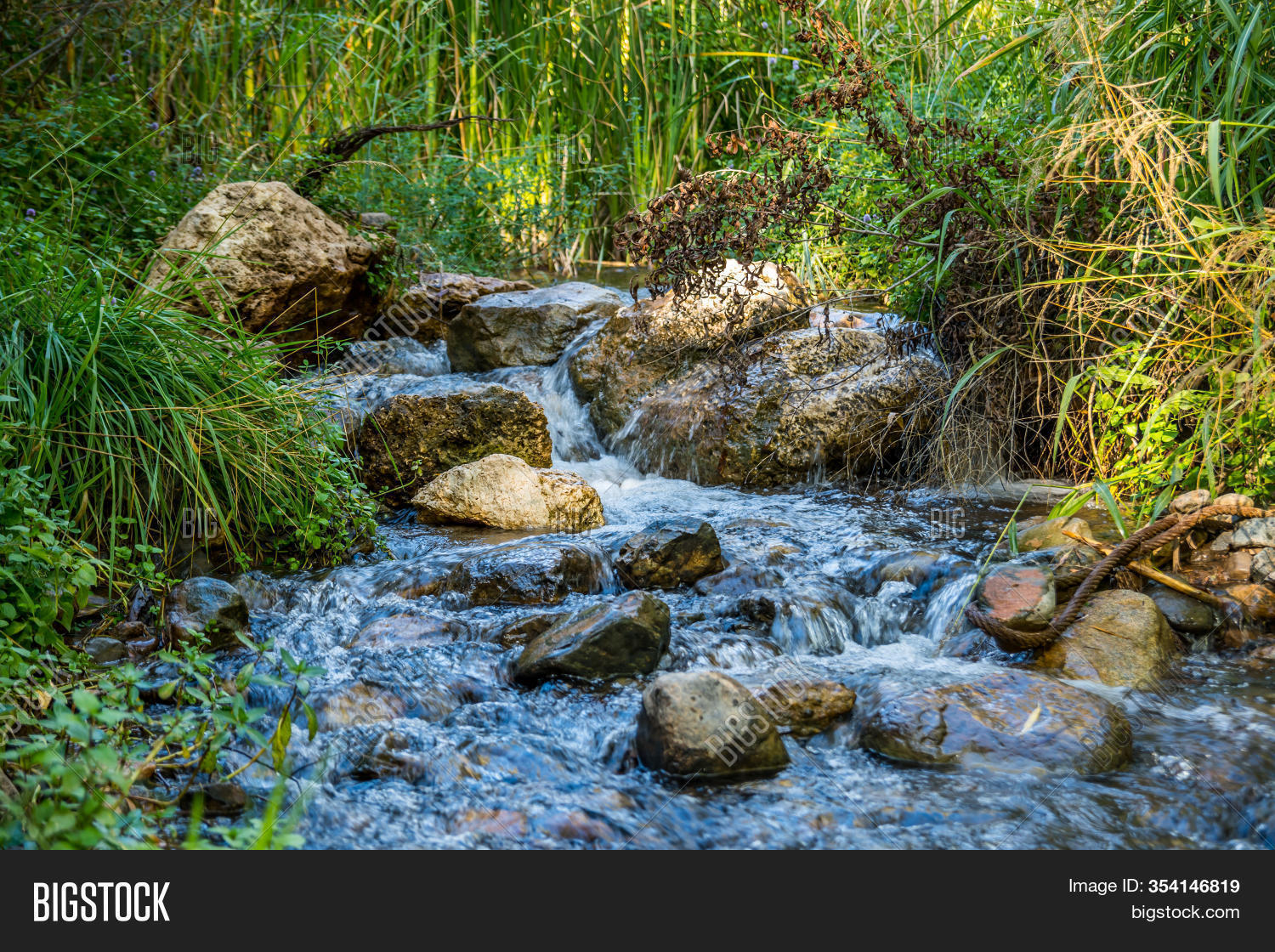 Narrow Stream Water Image & Photo (Free Trial) | Bigstock
