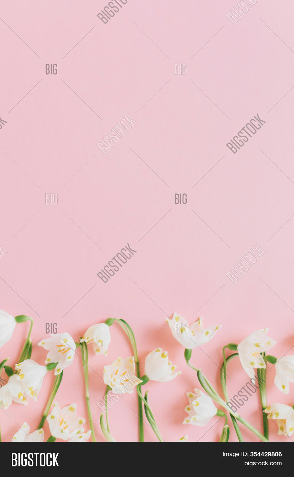 White Spring Flowers Image & Photo (Free Trial) | Bigstock