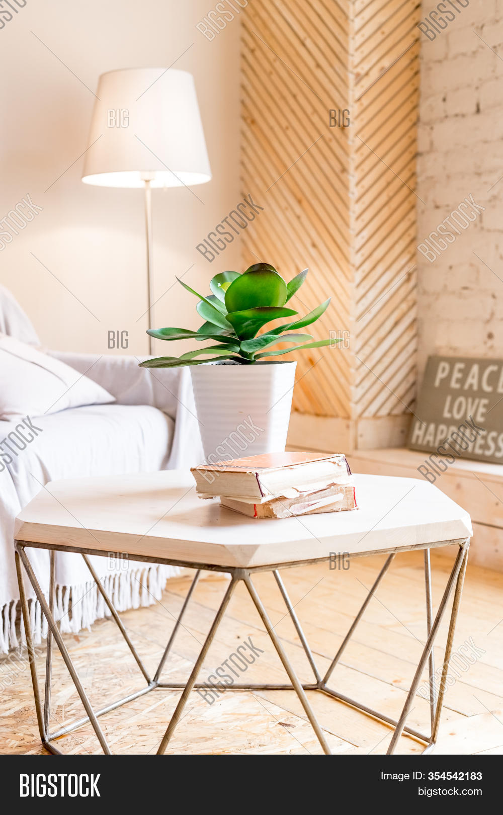 Home Plant Placed On Image & Photo (Free Trial) | Bigstock