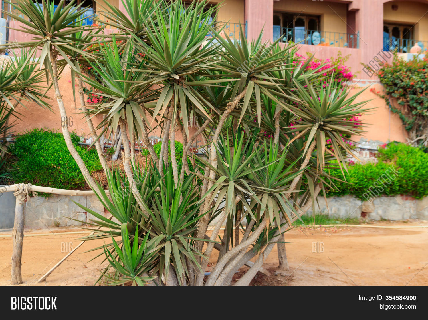 Beautiful Green Image & Photo (Free Trial) | Bigstock