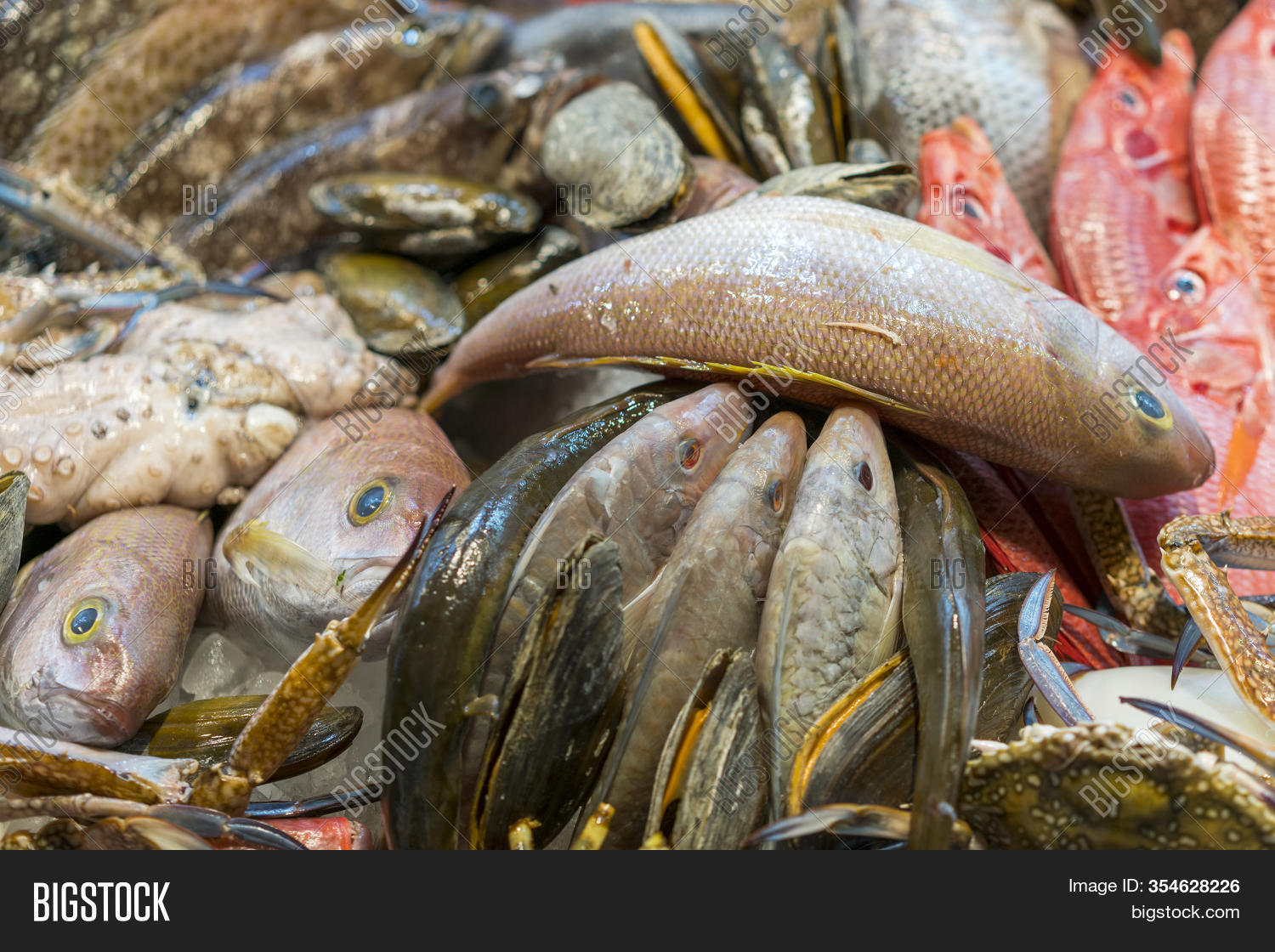 Seafood On Display. Image & Photo (Free Trial) | Bigstock