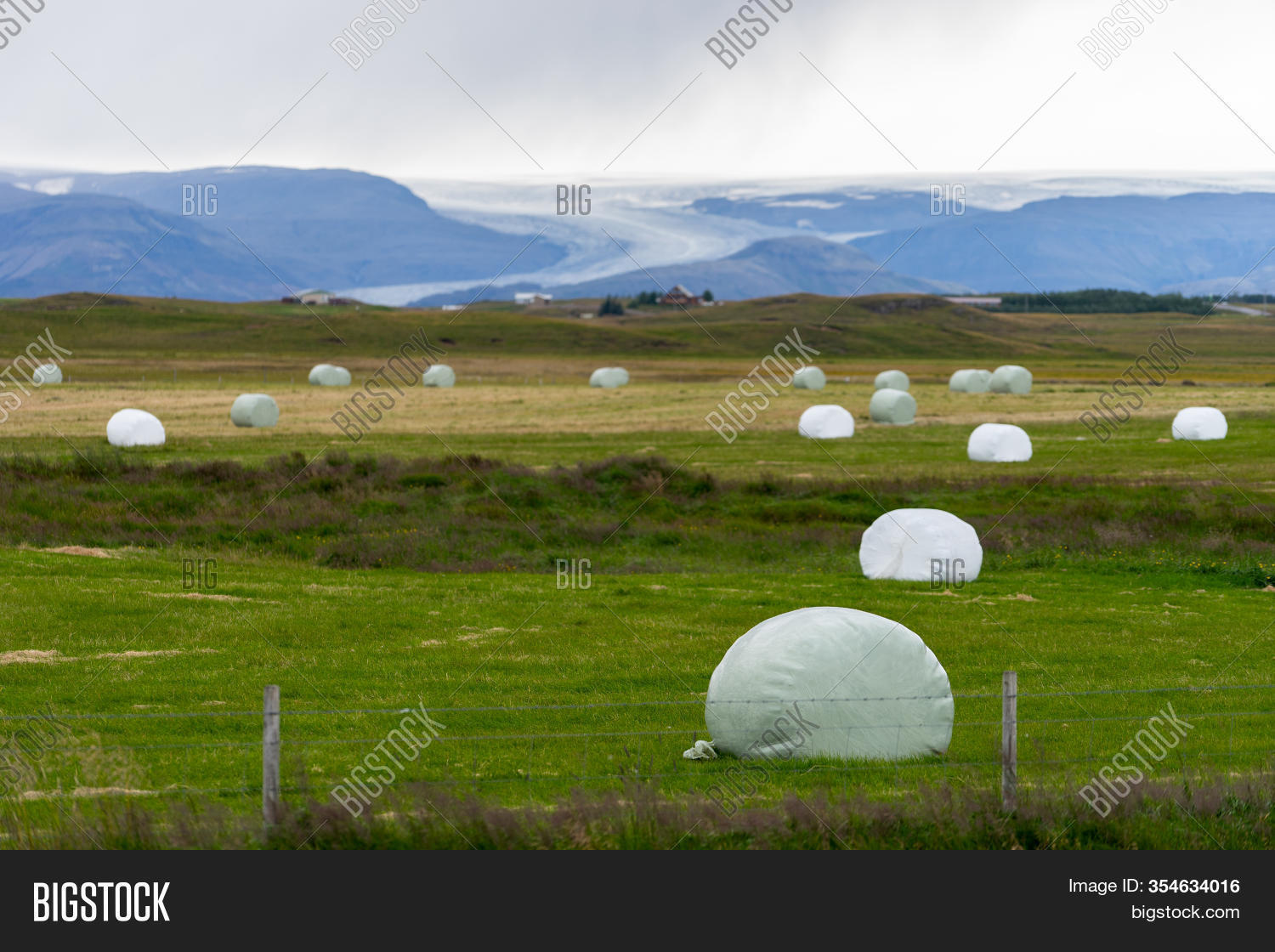 Bale Fodder Grass Image & Photo (Free Trial) | Bigstock