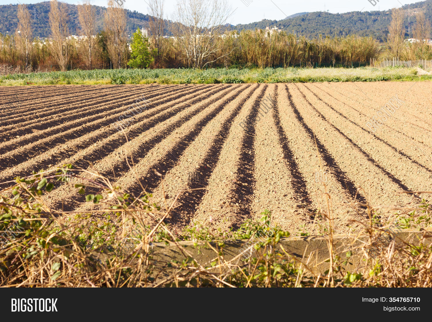 Fields Worked Freshly Image & Photo (Free Trial) | Bigstock