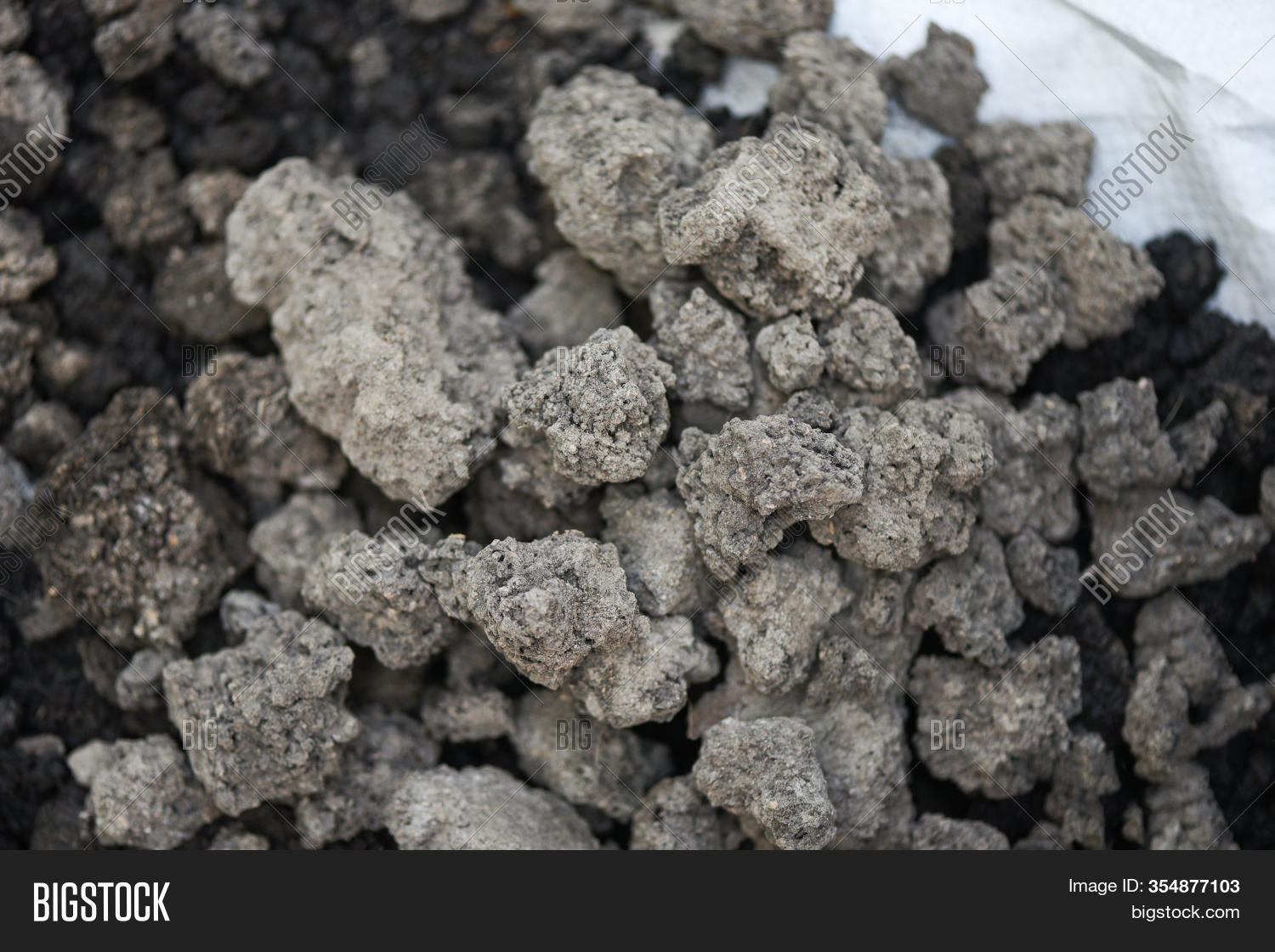 Fertile Loam Soil Image & Photo (Free Trial) | Bigstock