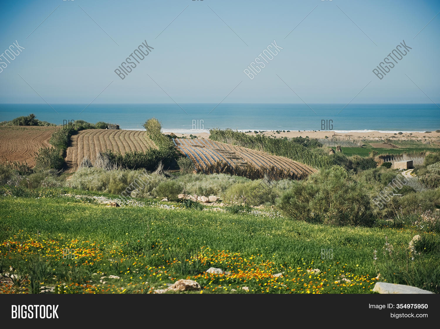 Colorful Straw House Image & Photo (Free Trial) | Bigstock