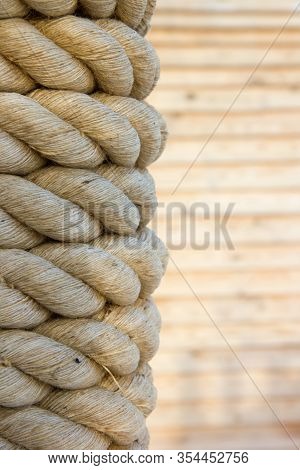 Tites Images, Illustrations & Vectors (Free) - Bigstock