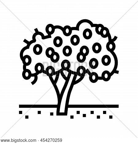 Lemon Tree Clipart Black And White