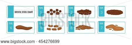 Bristol Stool Chart Vector & Photo (Free Trial) | Bigstock