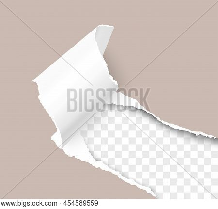 Paper Corner Torn Vector & Photo (Free Trial) | Bigstock