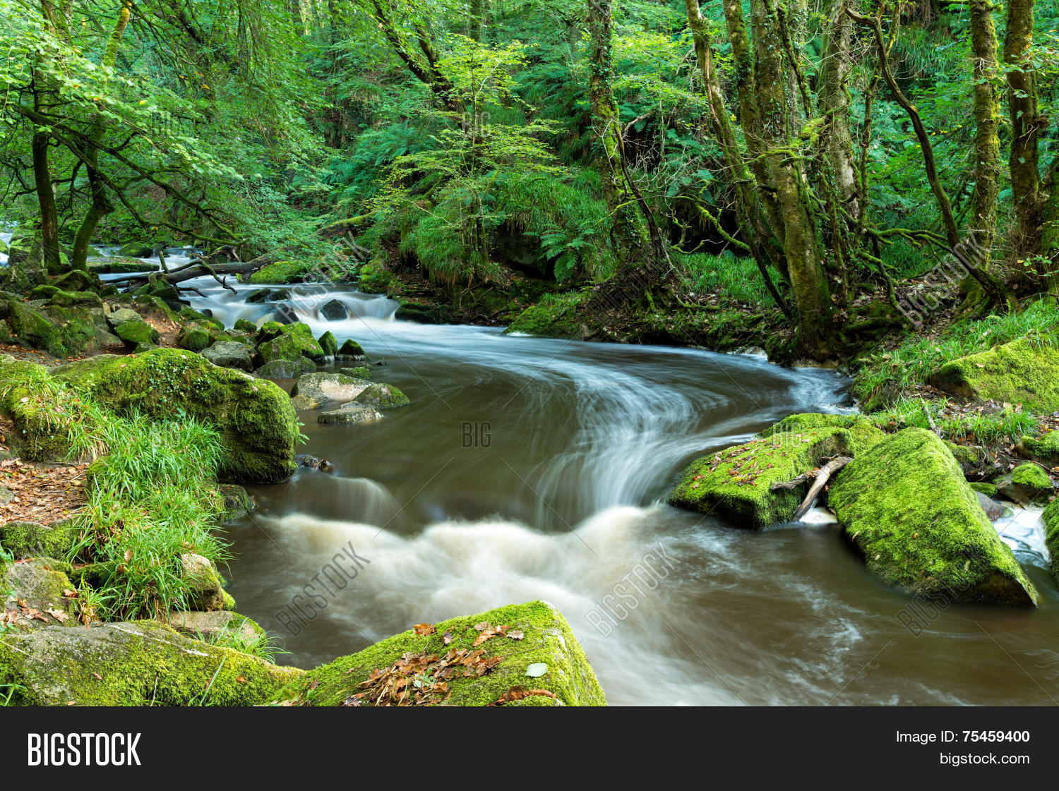 Golitha Falls Cornwall Image & Photo (Free Trial) | Bigstock