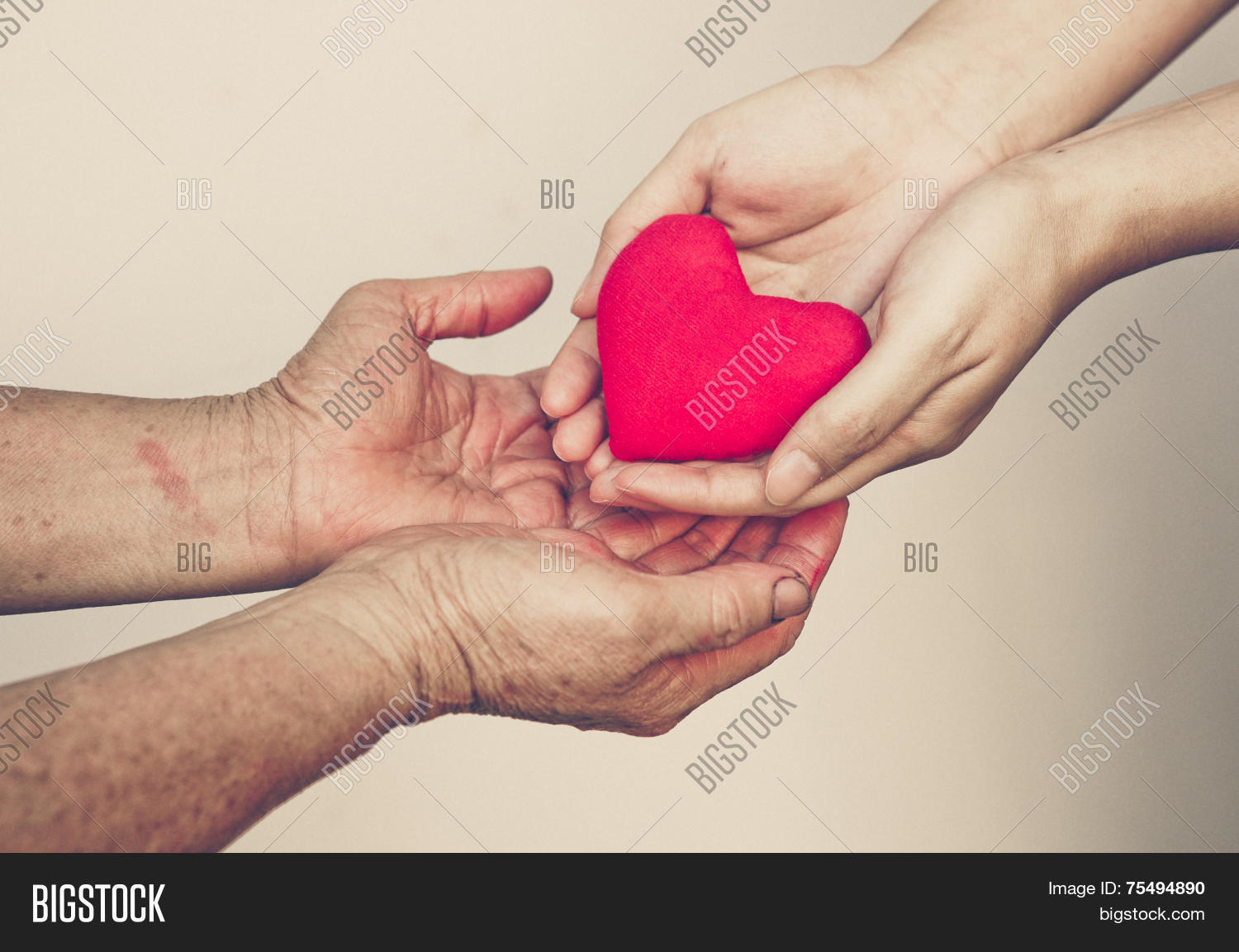 Giving Love Elderly Image & Photo (Free Trial) | Bigstock
