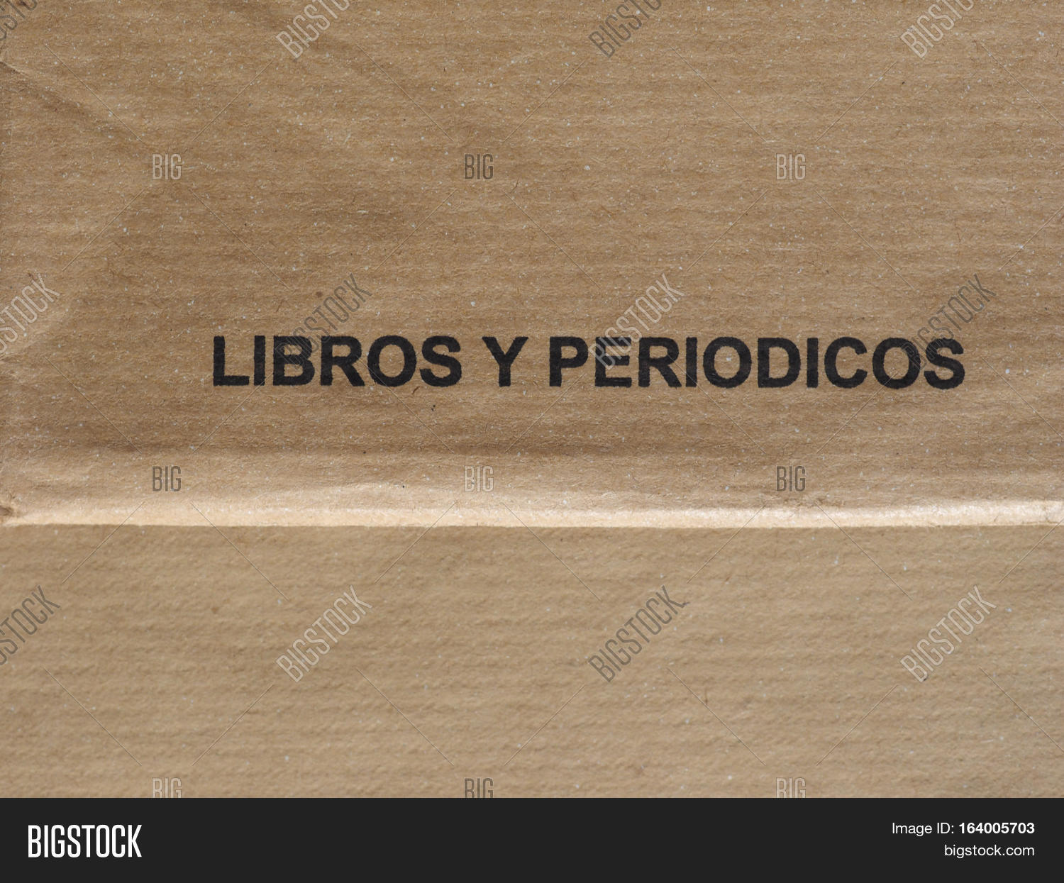 Libros Y Periodicos ( Image & Photo (Free Trial) | Bigstock
